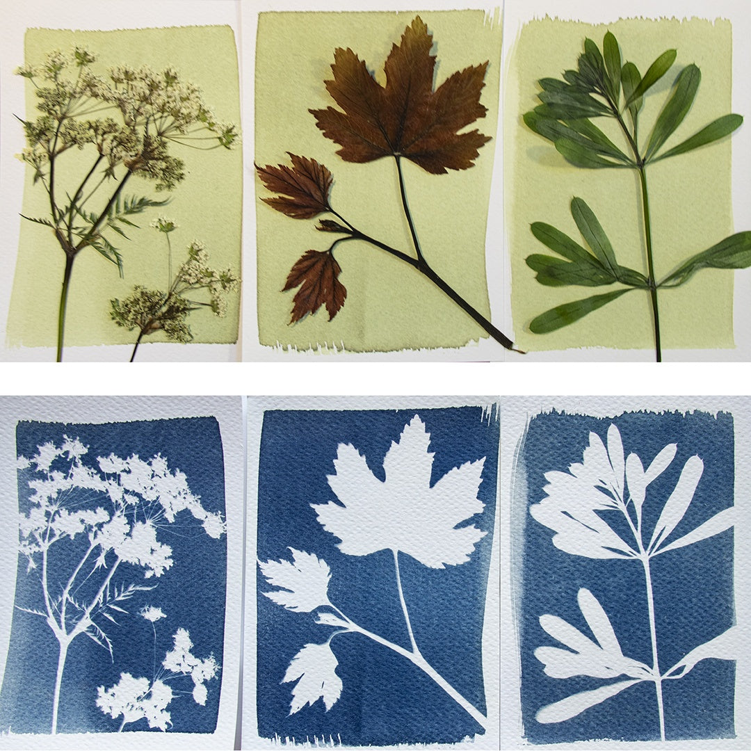 DIY Sólmyndasett / DIY Cyanotype Kit – Lauuf