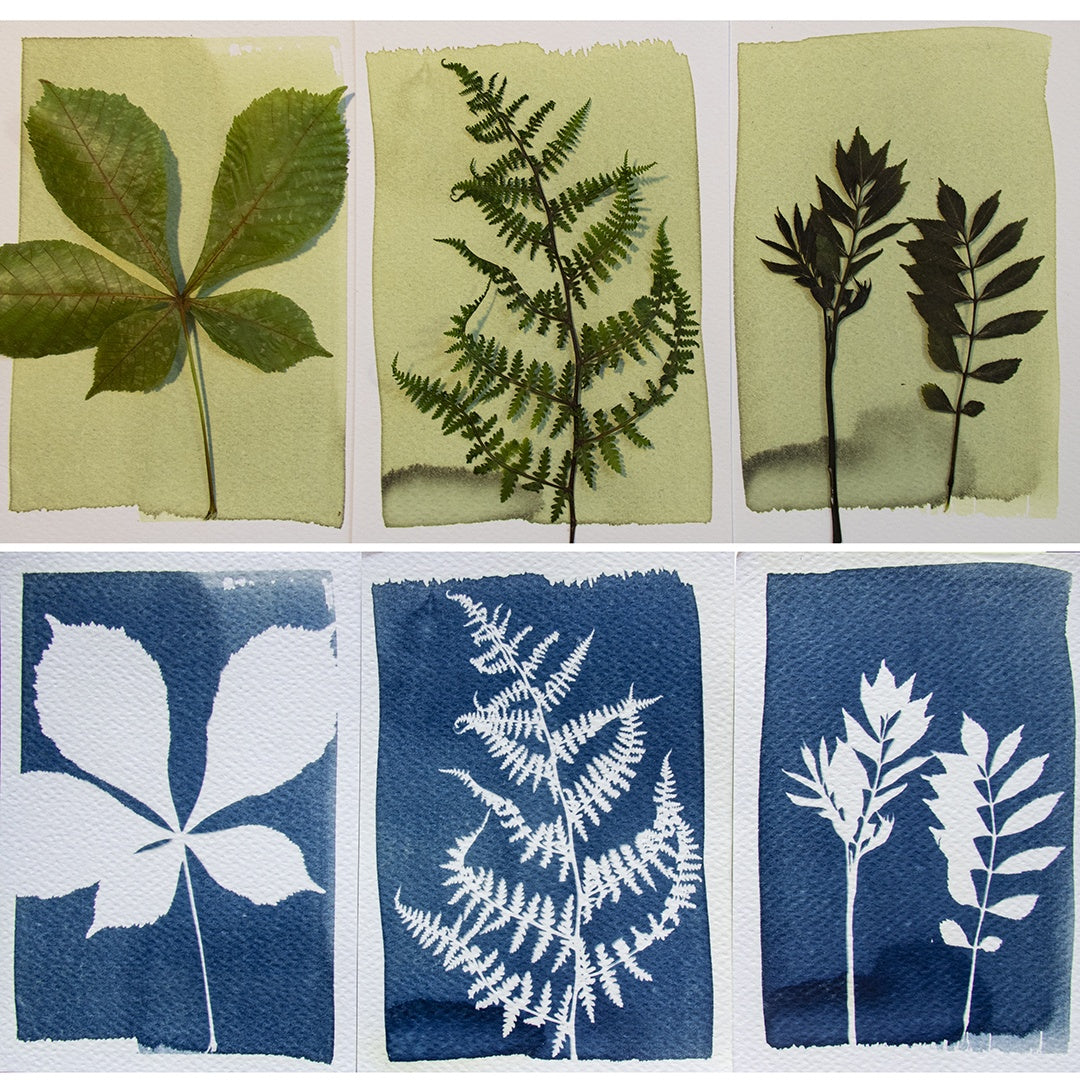 DIY Sólmyndasett / DIY Cyanotype Kit – Lauuf